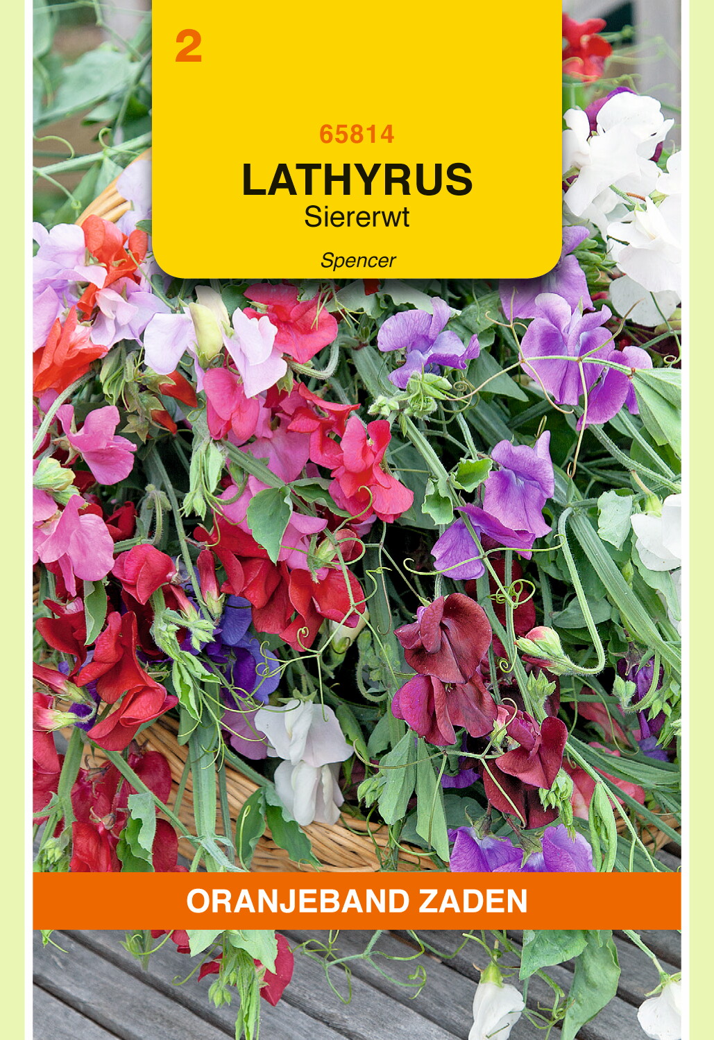 lathyrus odoratus spencer mix 5g - De Florahoek