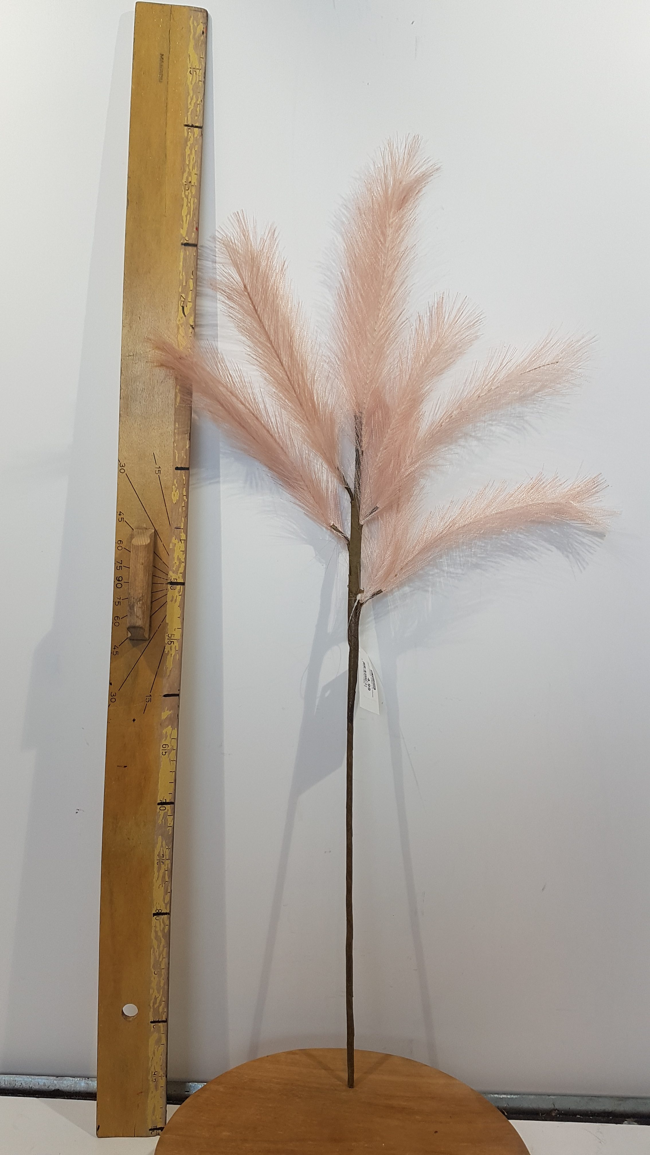 stem panicle grass l72.0rose - De Florahoek